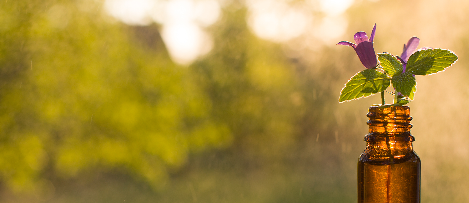 Companies Using Elixir